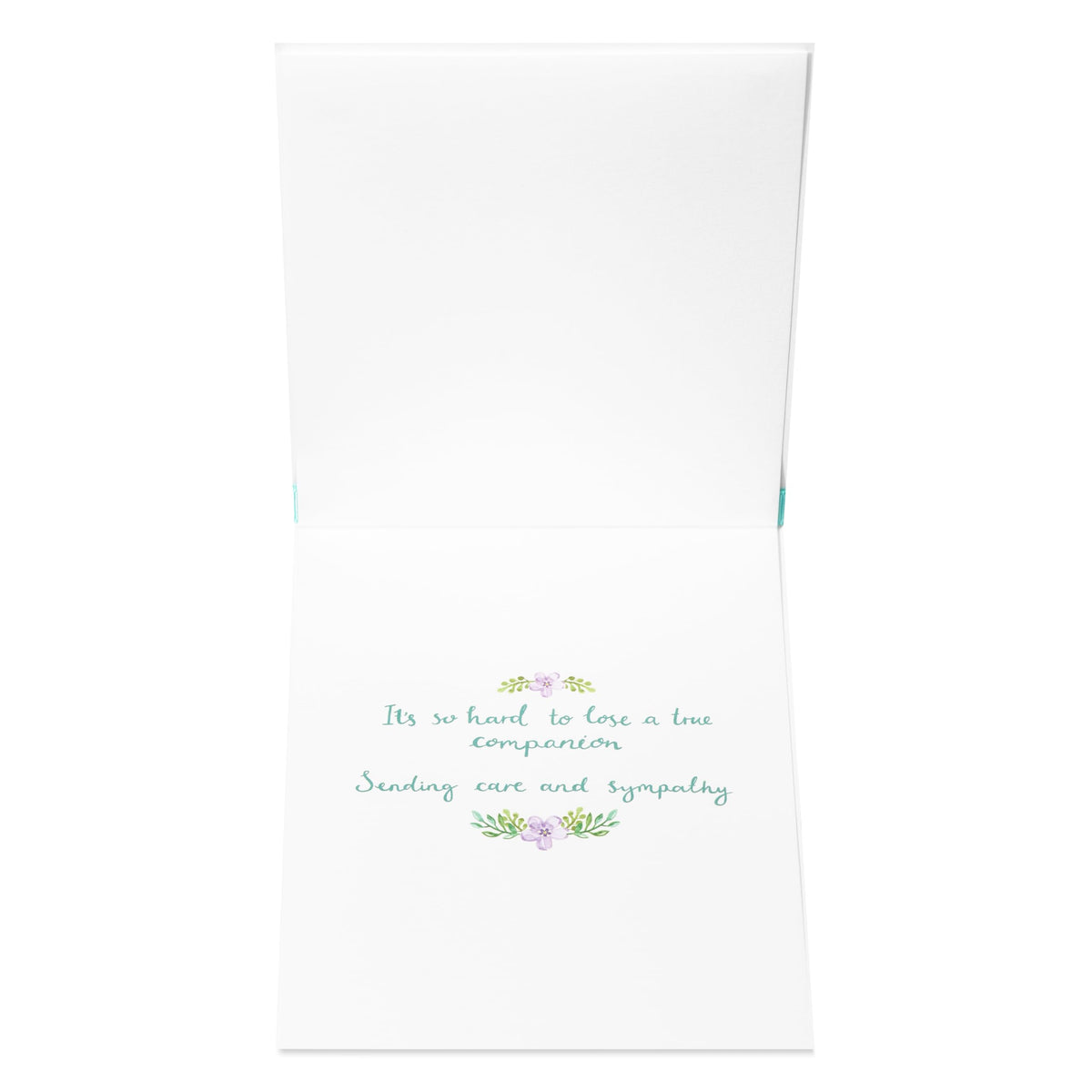 Papyrus Pet Sympathy Card (A True Companion) A True Companion – Stuff ...
